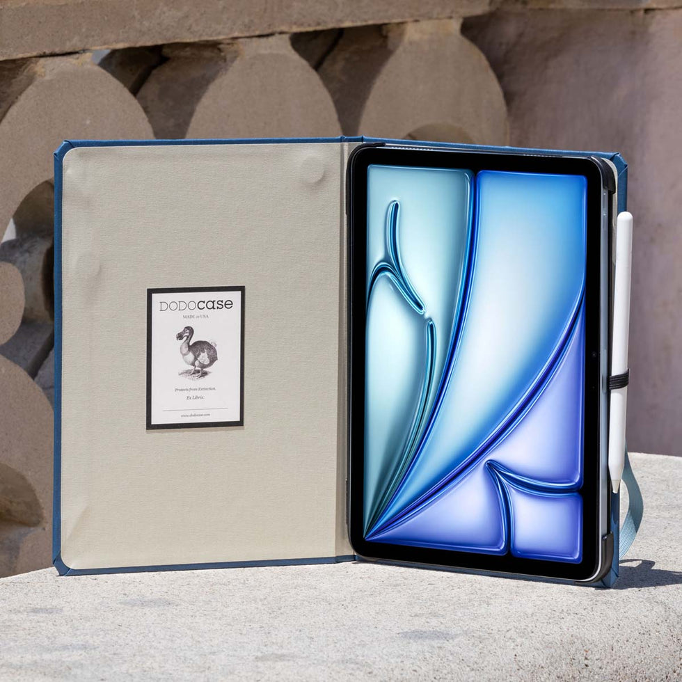 iPad Cases in Designer Solids | Premium Quality | DODOcase